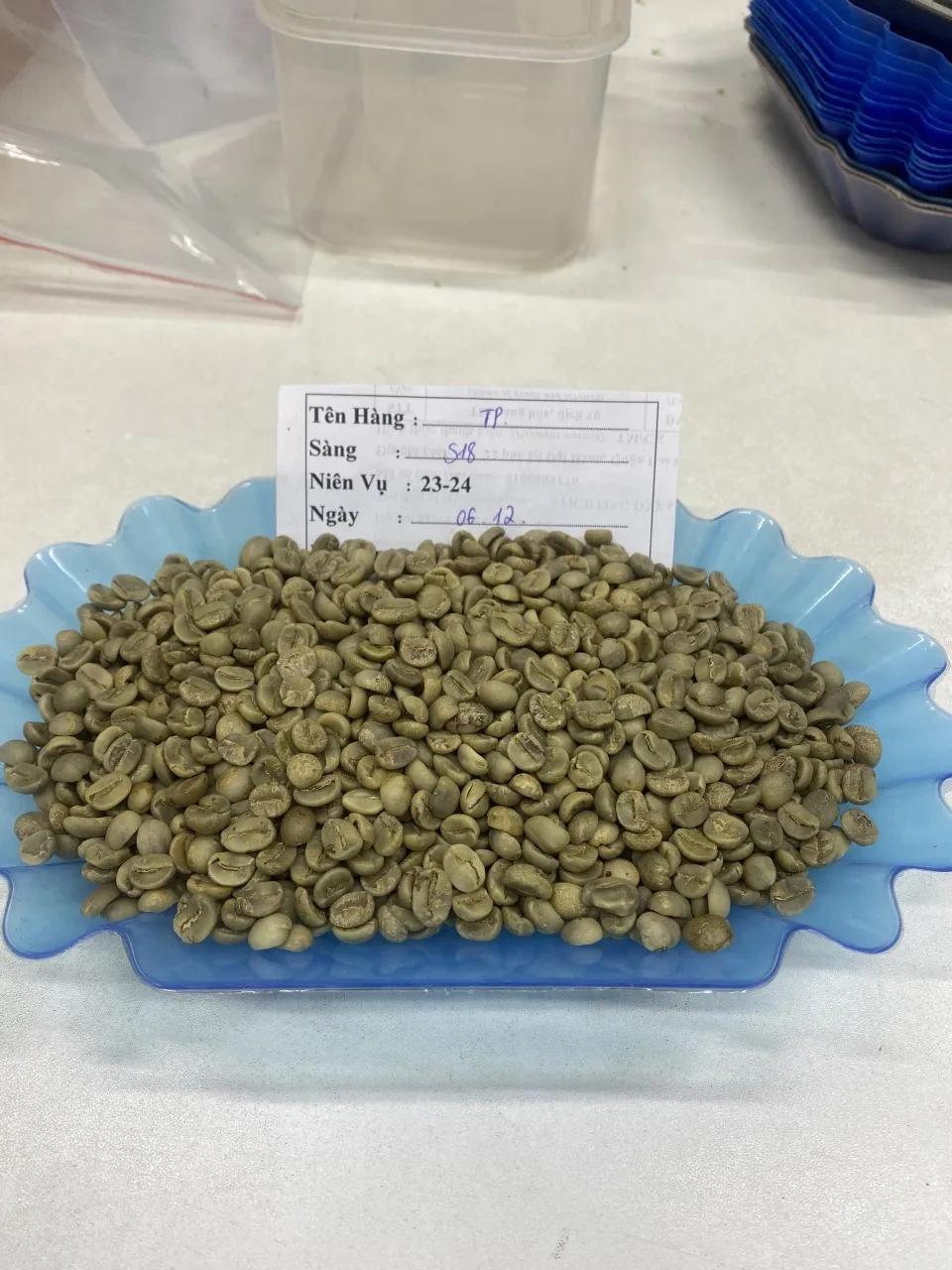 Arabica Green Coffee Beans of Vietnamese Wholesale Supplier Grade Screen 16 and 18, 2 kg Ready ...