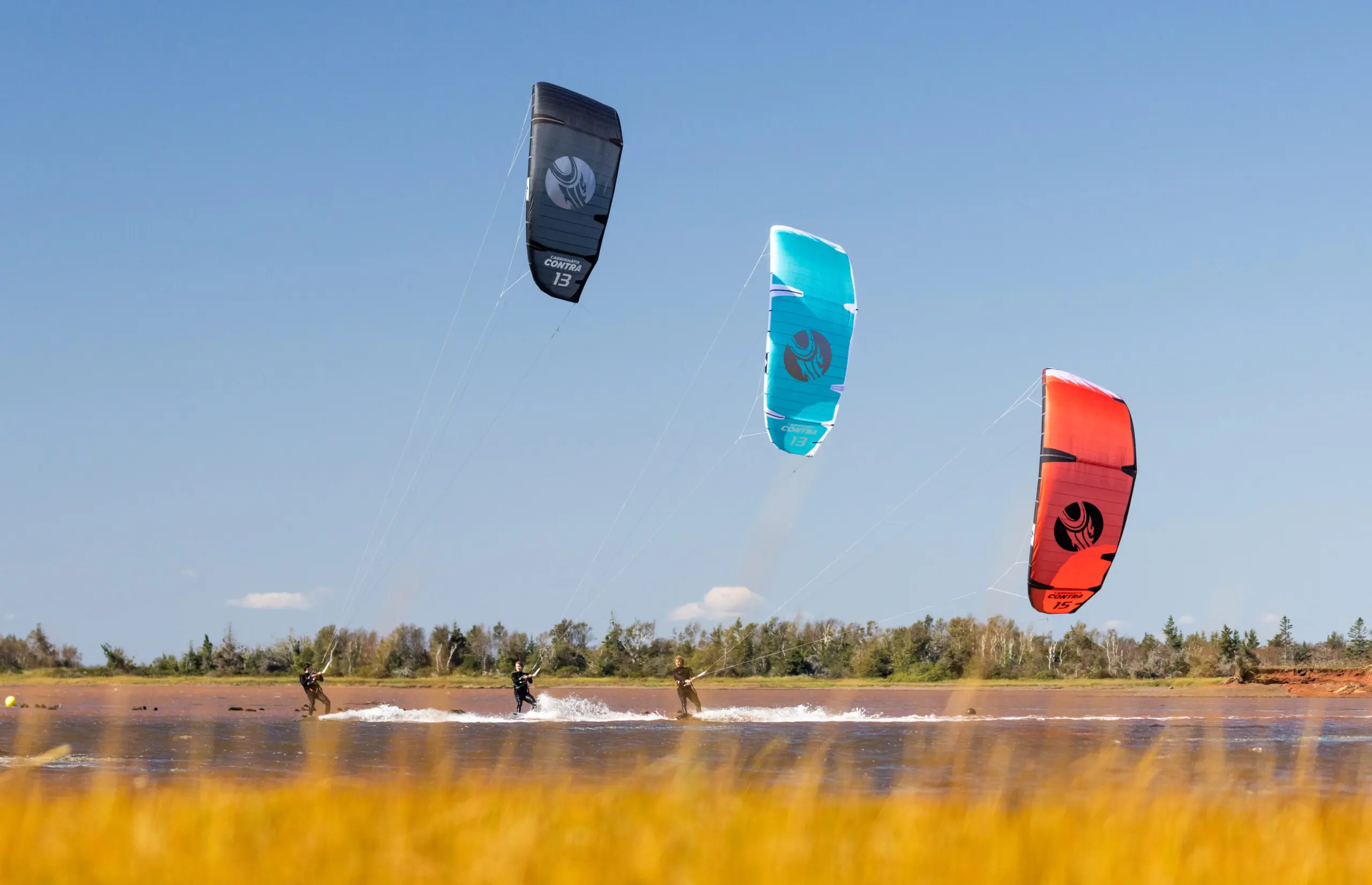 Hot New 4 Line Beach Summer Sport Outside Easy To Fly Kiting Activity ...