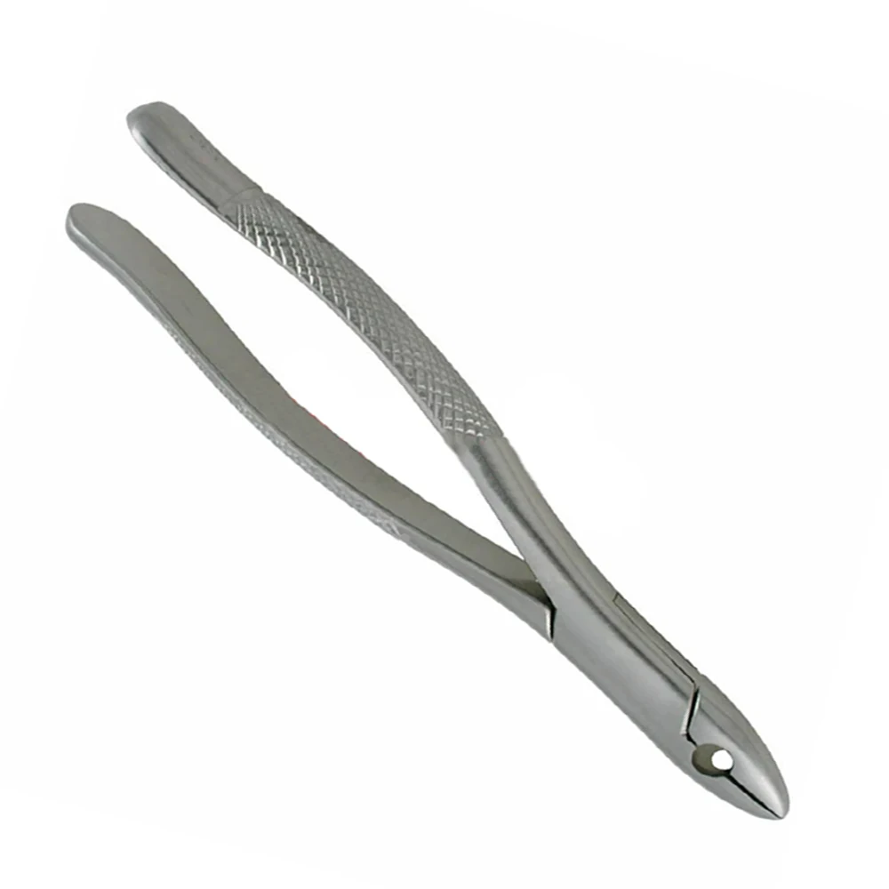 Dental Extraction Tooth Forceps No 99c Dentistry Roots Extractions High ...