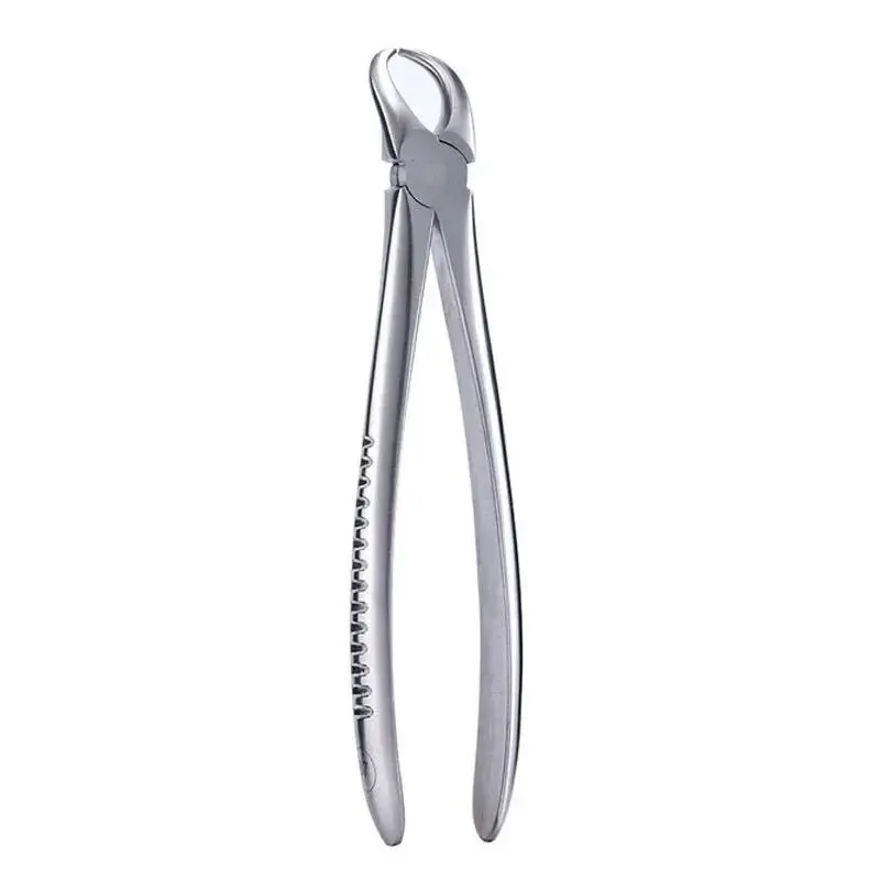 Dental Extraction of Upper Premolar Teeth Extracting Forceps, Surgical ...