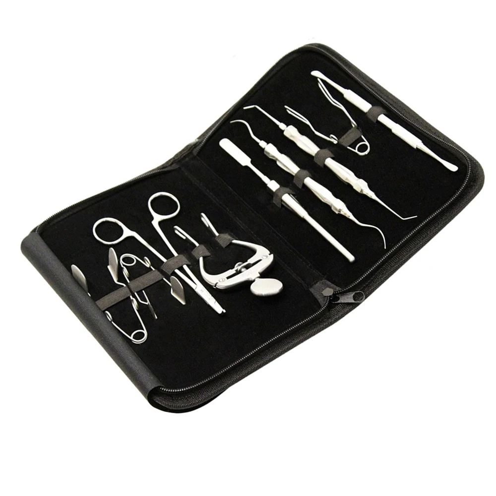 Dental Instruments Set Rabbit & Rodent 9 Pcs Set Complete Kit With ...