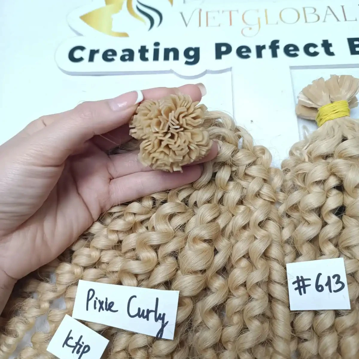 Pixie Curly Hair Vietnamese Virgin Cuticle Aligned Hair Ktip Hair ...