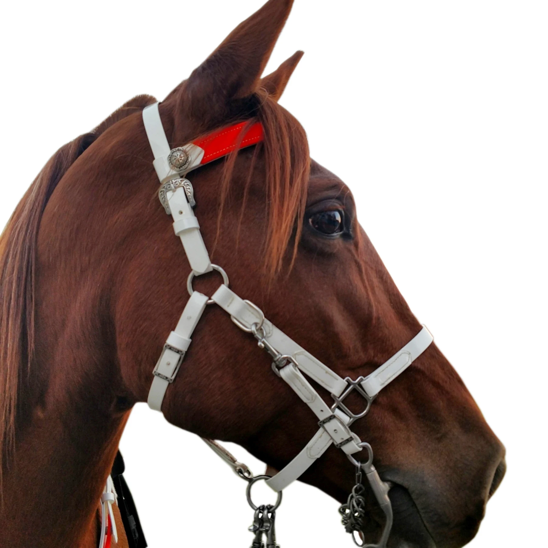 Trendy New PVC Horse Reins Headstall Thickened Equestrian Accessories ...