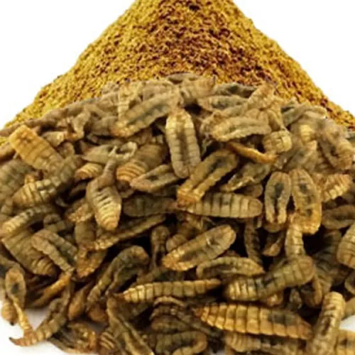 Wholesale High Protein Black Soldier Fly Larvae Powder For Animal Feed ...
