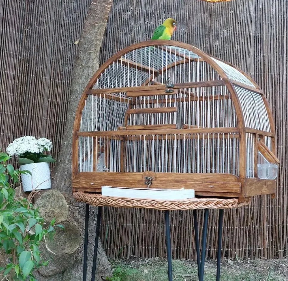 Checker Plate Wood Ute Canopy Hunting Dog Box Cage For Large Dogs Metal ...