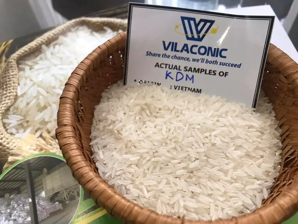THAILAND HOM MALI RICE JASMINE RICE FROM VILACONIC'S FACTORY - ( WS ...