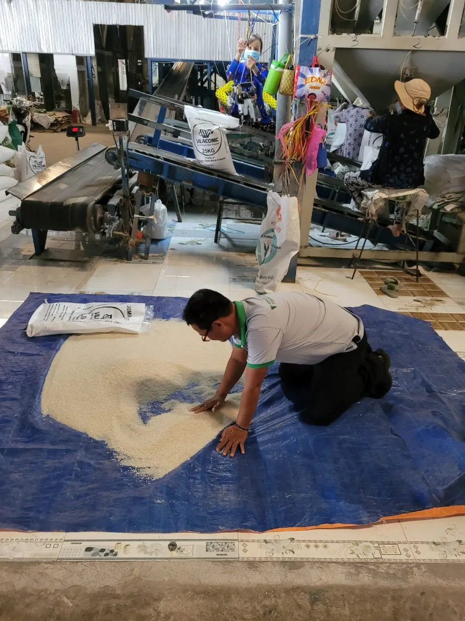 Premium-quality Long Grain Basmati/fragrant Perfume Rice From Vietnam ...