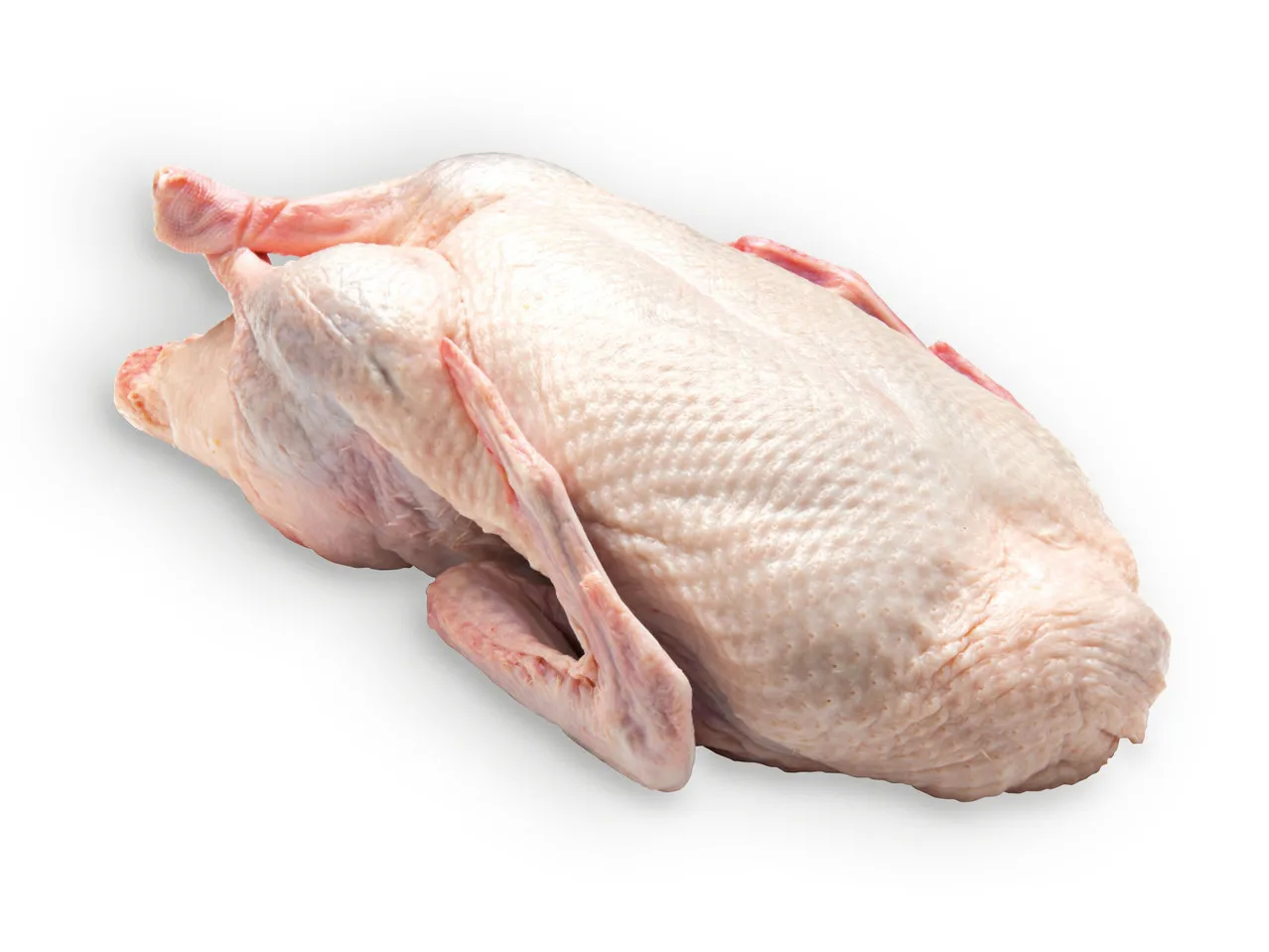 Halal Frozen Whole Duck / Frozen Duck / Frozen Whole Duck Without Offal ...