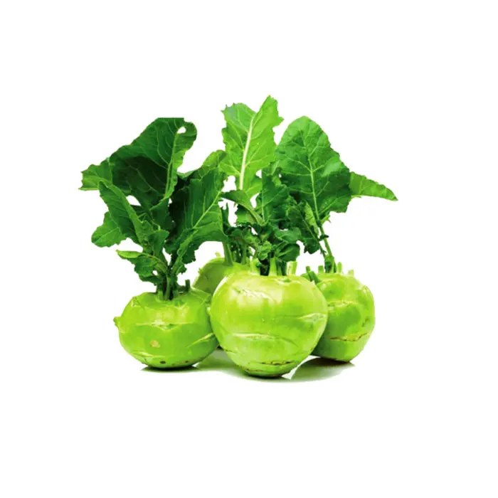 Vietnamese Healthy Vegetables Goods Flavour Fresh Green Kohlrabi Whole ...