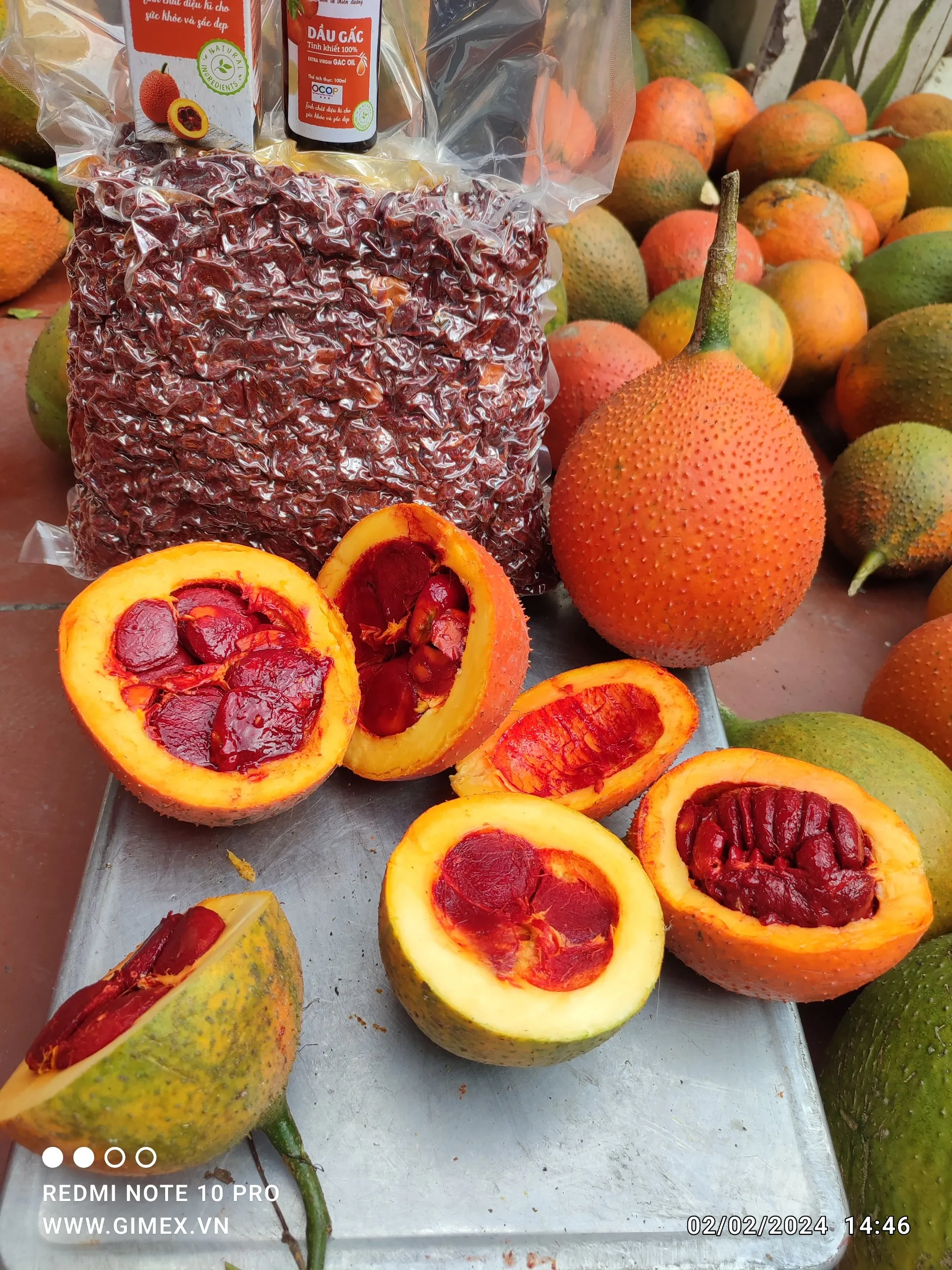 Wholesale Frozen Gac Fruit From Top Suppliers in Vietnam Call ...