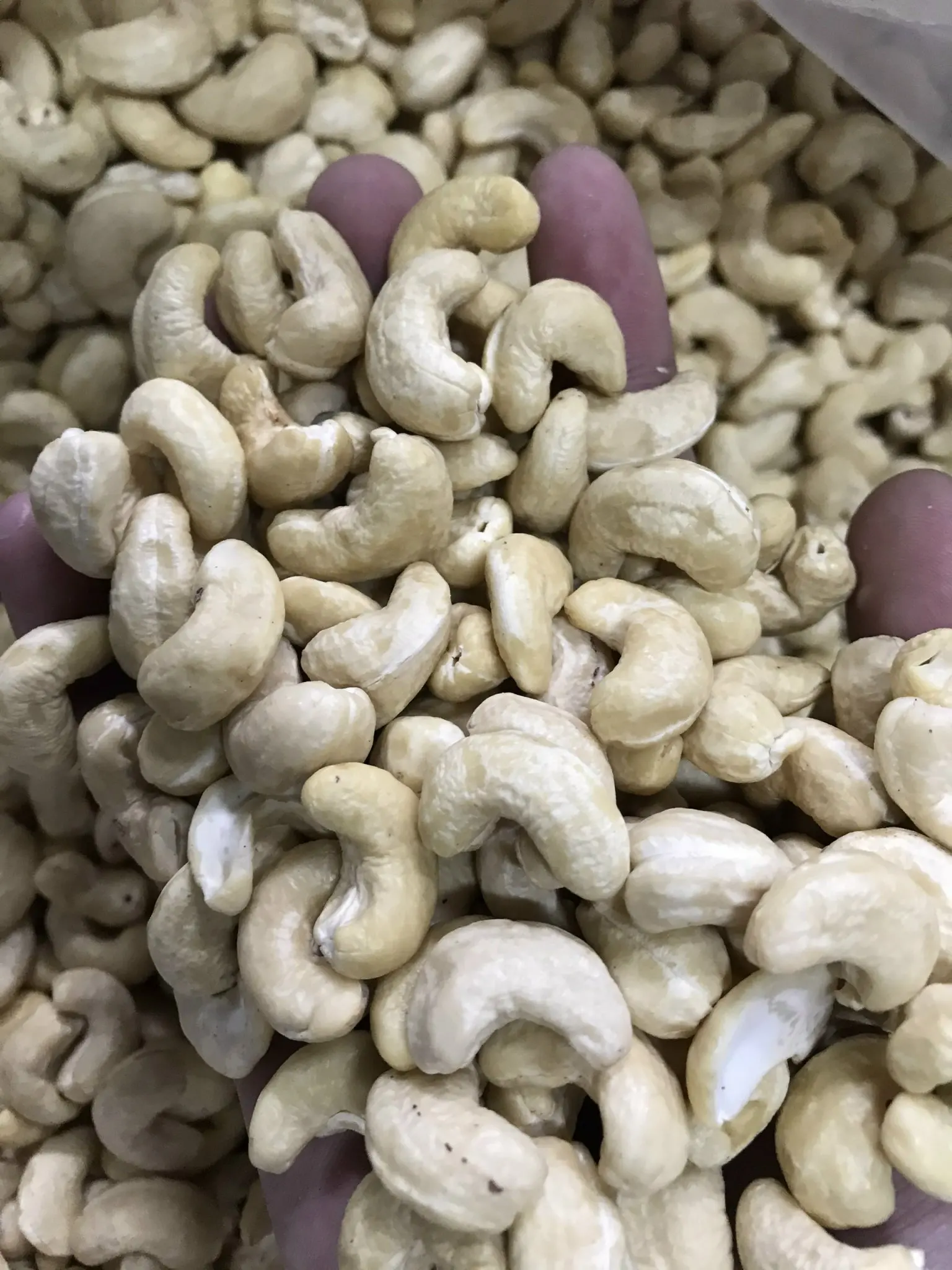 Whole Size Cashews W320 W240 W450 Jumbo Size Cashews 100% White Cashew Nut Sell Vietnam Good ...