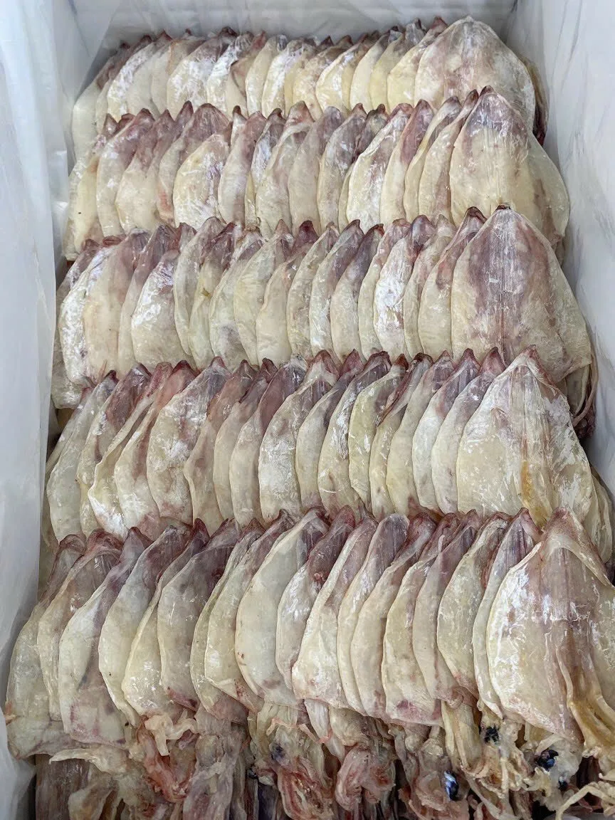 Hot Hot - Extra Virgin Dried Squid And Refined Dried Squid From Vietnam ...