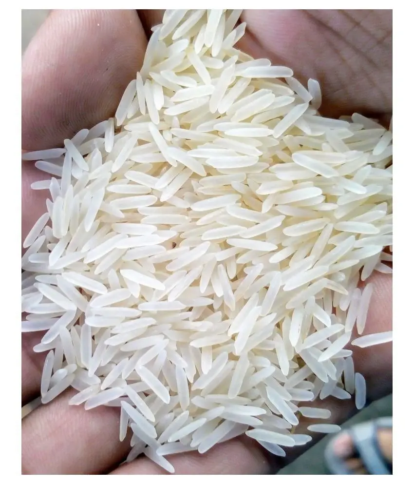1121 Raw Basmati Rice Available For Sale At Affordable Price - Buy ...