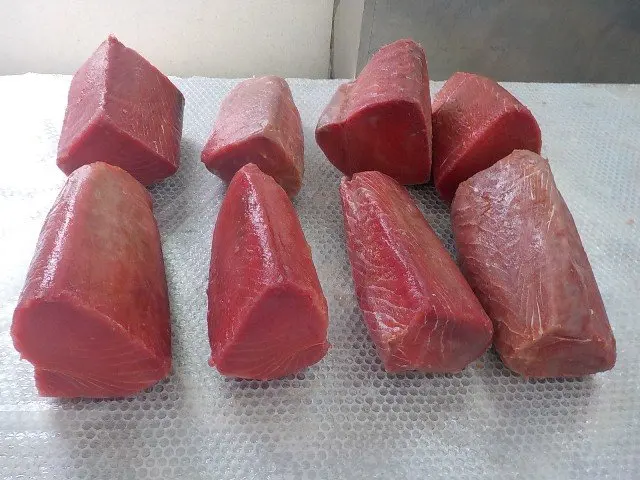 High-quality Tuna Fish from Vietnam - Best Price Tuna Fillet