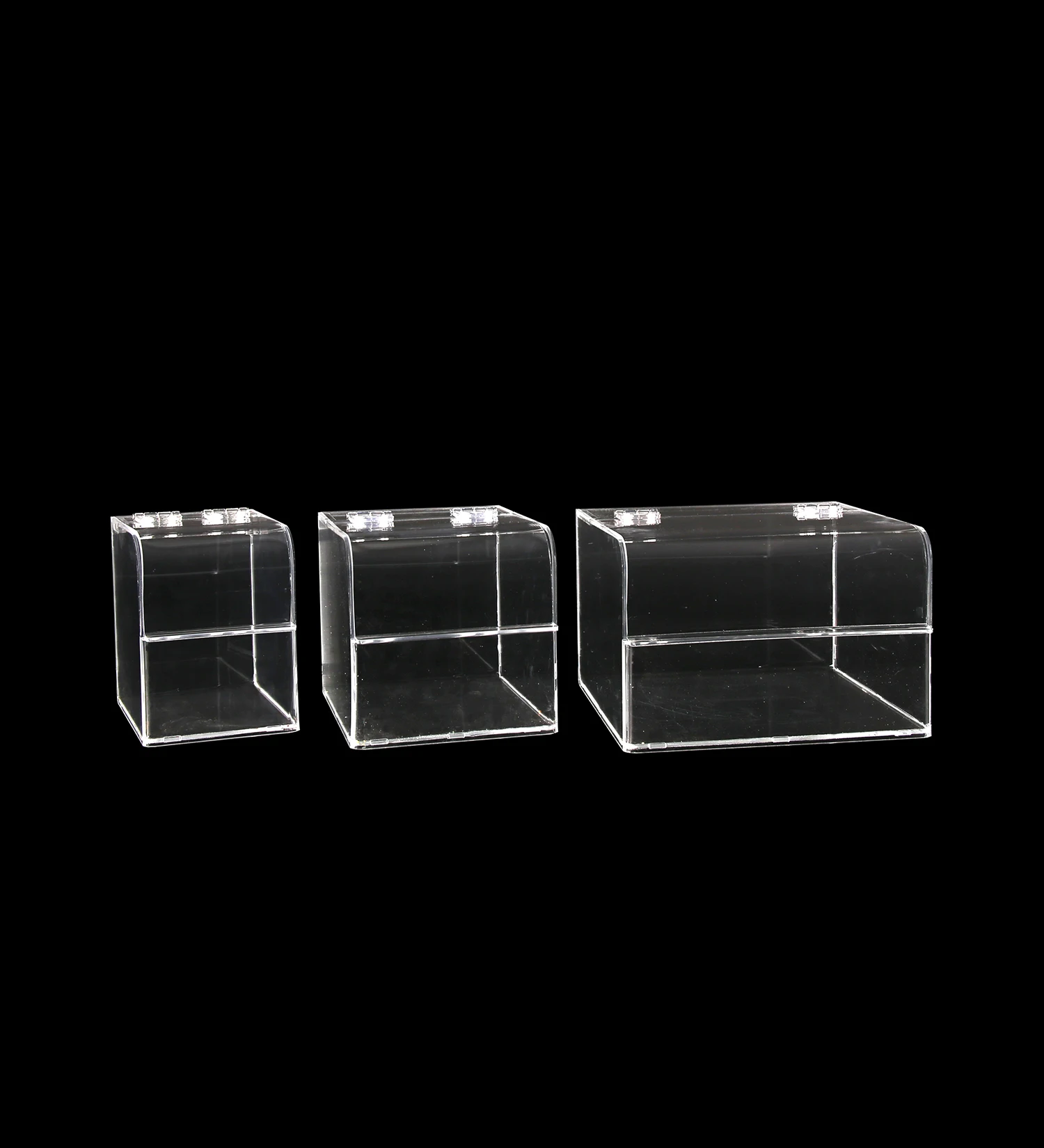 Radius Box With Hinged Lid - Bulk Food Display Box Transparent Acrylic ...