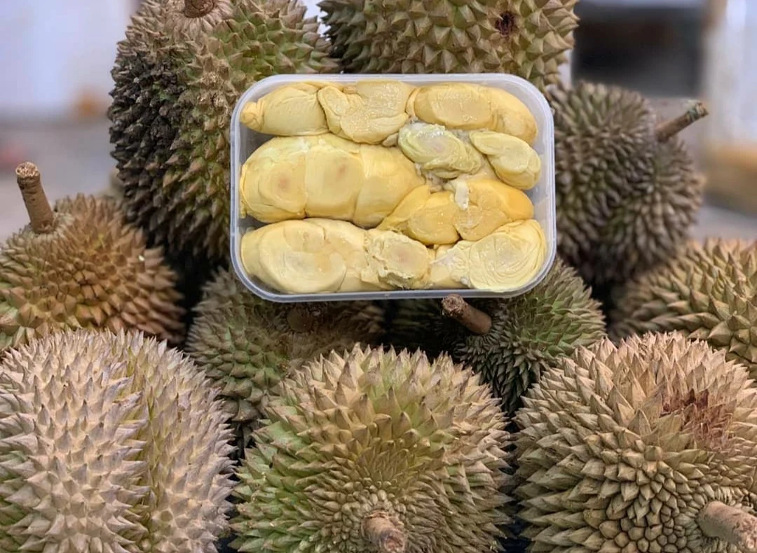 Top Best Selling Frozen Durian - Vietnam High Quality Products - Best ...