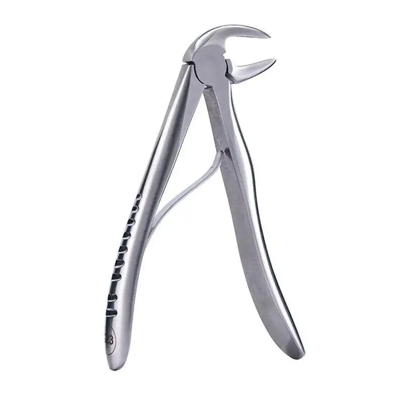 Dental Extraction of Upper Premolar Teeth Extracting Forceps, Surgical ...