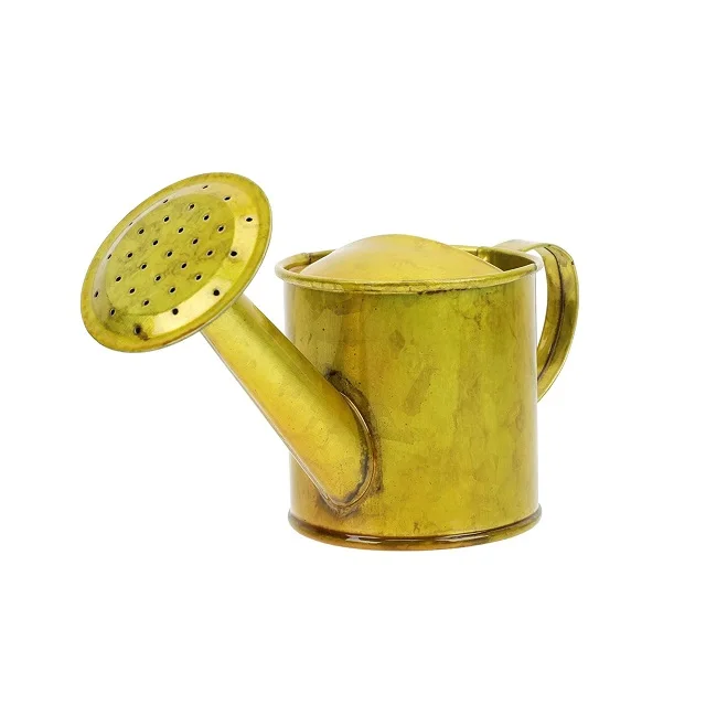 Indoor And Outdoor Water Cane New Arrival Home Decoration Garden ...