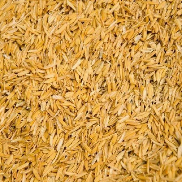 Mengekspor Sekam Padi Dengan Harga Murah Dari India Sekam Padi Kualitas ...