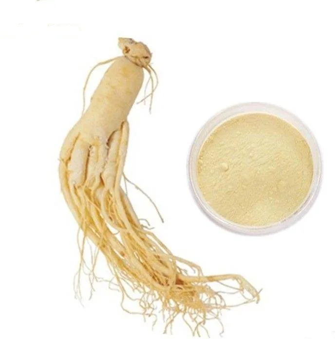Bulk Supplement Ginseng Root Dry Extract Powder Organic Panax ...
