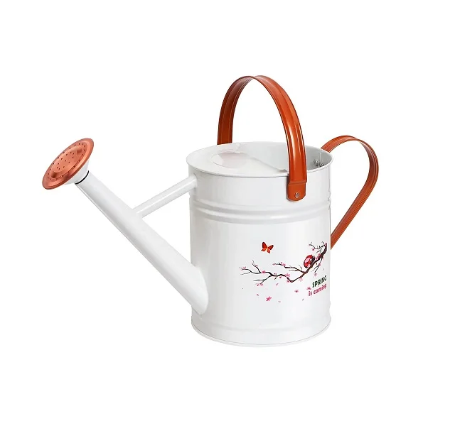 Indoor And Outdoor Water Cane New Arrival Home Decoration Garden ...