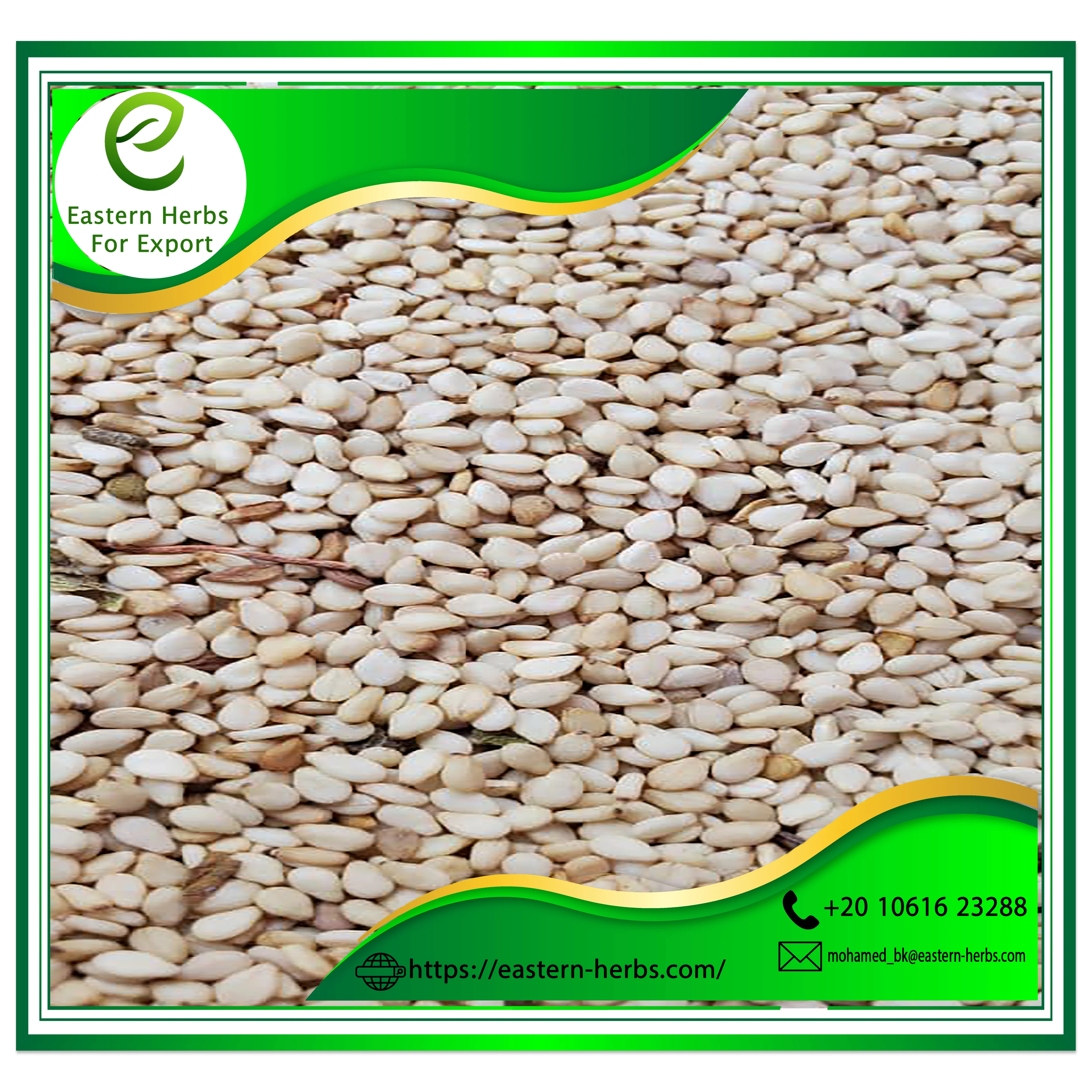 2023 New Season White Sesame Seeds Organic and Conventional 99.5% ...