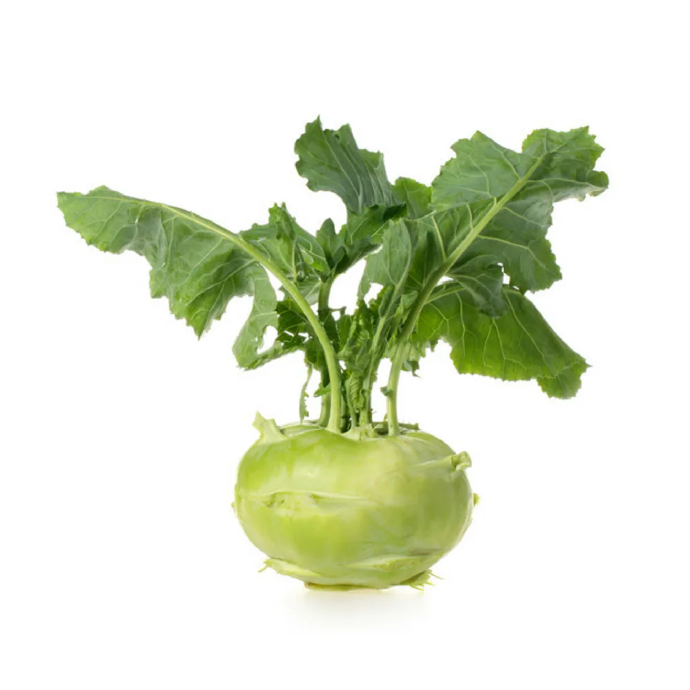 Vietnamese Healthy Vegetables Goods Flavour Fresh Green Kohlrabi Whole ...