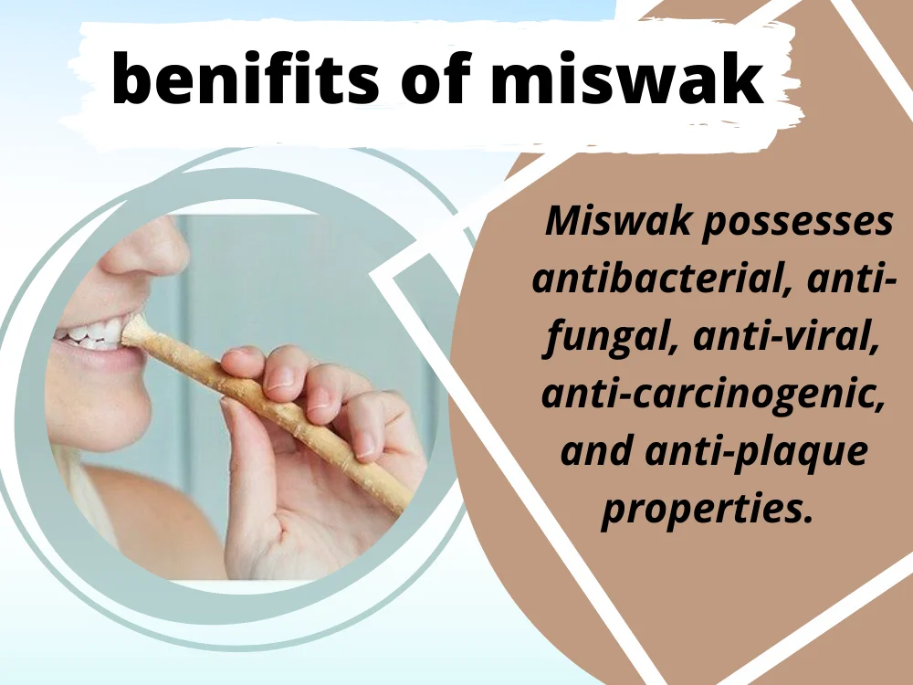 Best Quality Vacuum Packed Miswak Stick Natural Teeth Cleaning For ...