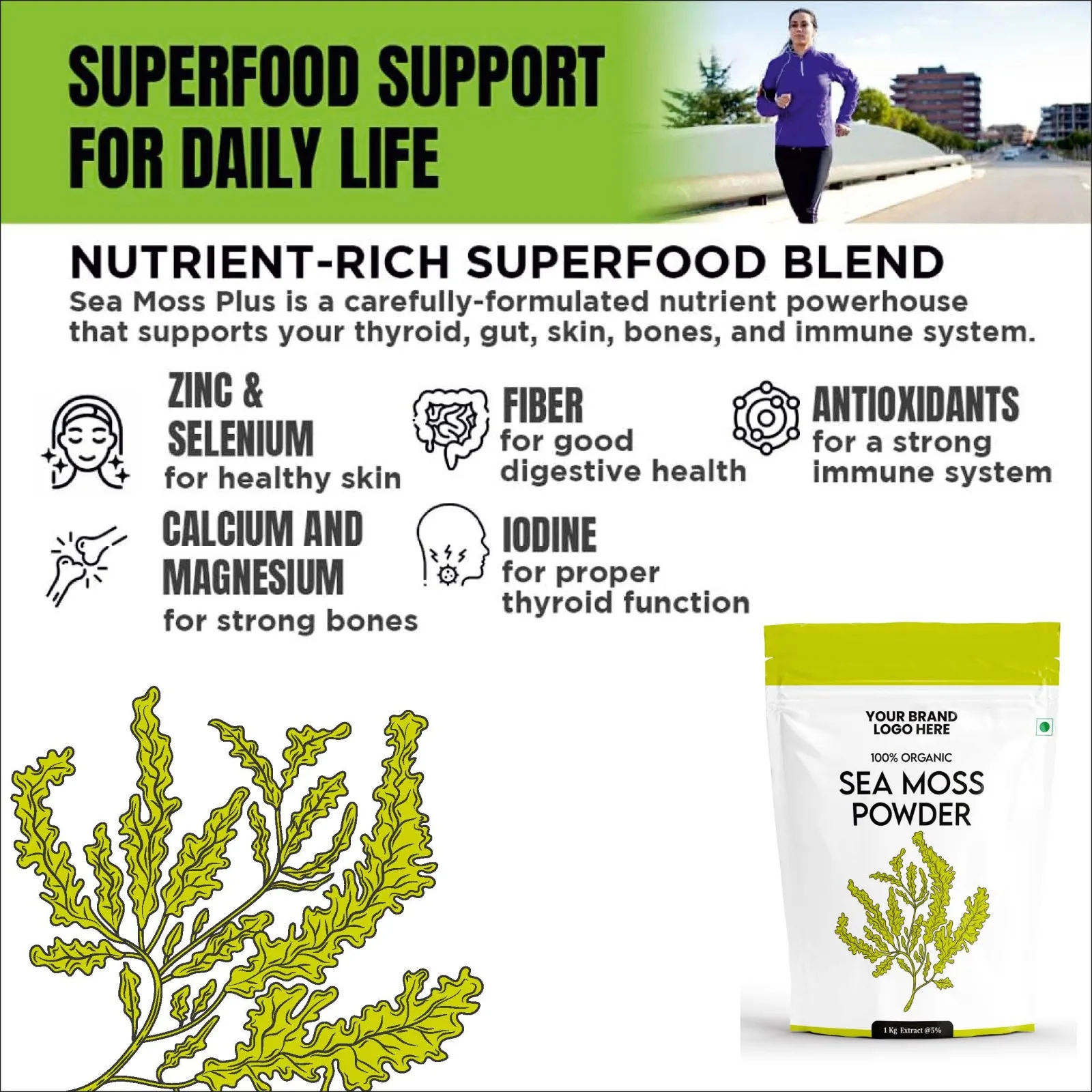 100% Organic Sea Moss Powder Wild-Cultivated with GMP Certificate ...