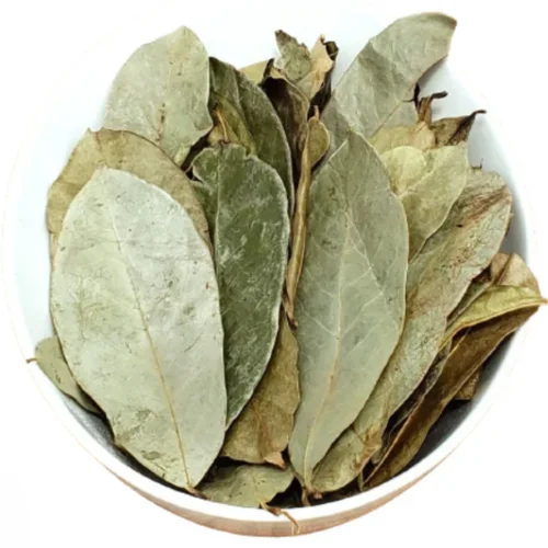 Healthy Pure Soursop Leaf Dried Soursop/graviola Leaves Good For Health ...