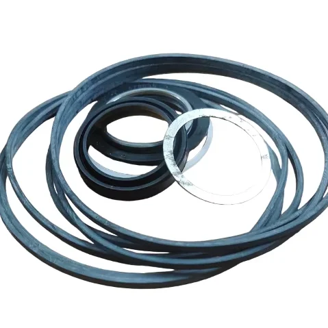 Hydraulic Motor Repair Seal Kit JBT 620-1428-090 / SK000090 Hydraulic ...