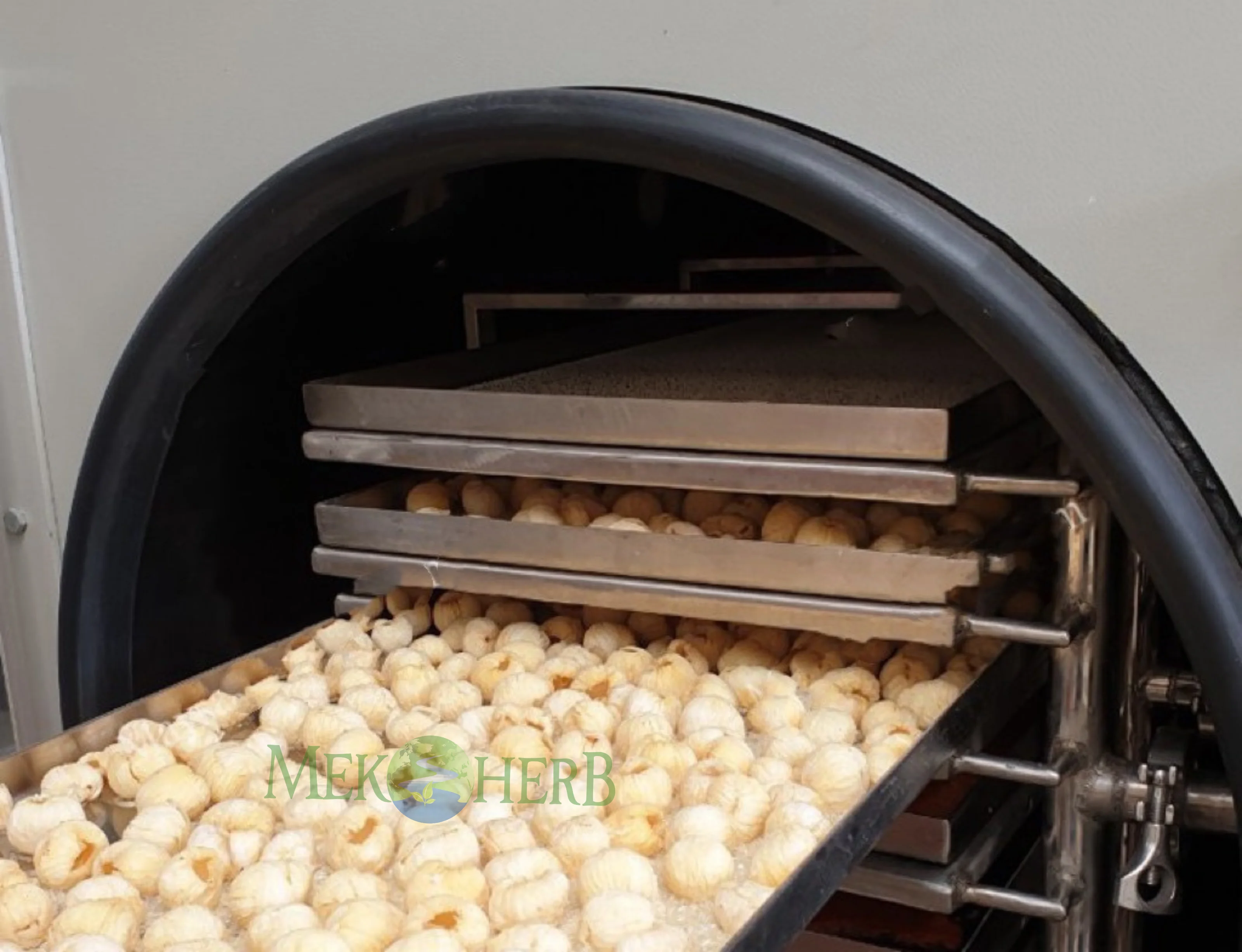 Meko - Farm Freeze Dried Longan From Mekong Herbals (100% Fresh Longan ...