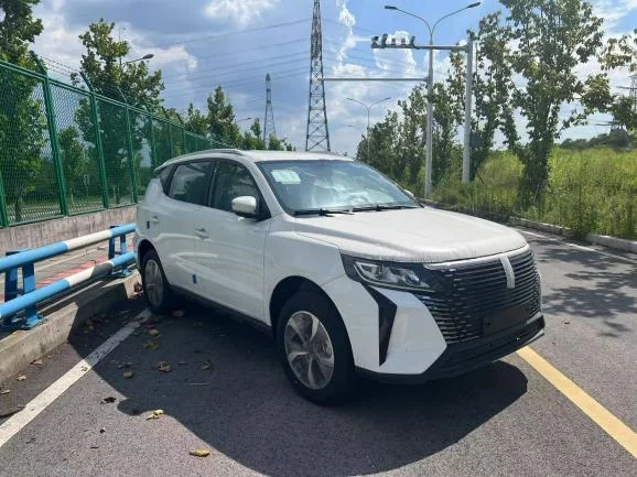 Geely Rivan X6 2025 PRO 1.5T CVT Vision X6 Petrol Gasoline Suv Premium ...