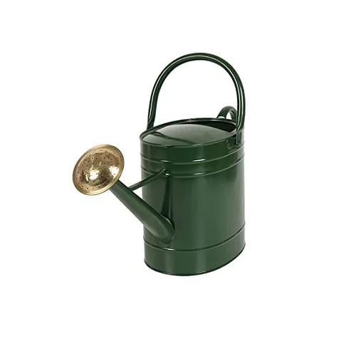 American Style Factory Price Water Cane High Quality Metal Galvanized ...