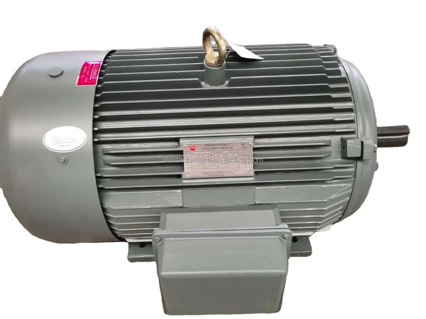 450 HP High Voltage Motor - Efficient and Reliable Power