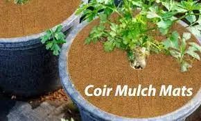 Best Deal 2024 Coco Fibre Mulch Mat - 8 Inch Coconut Coir Fibre ...