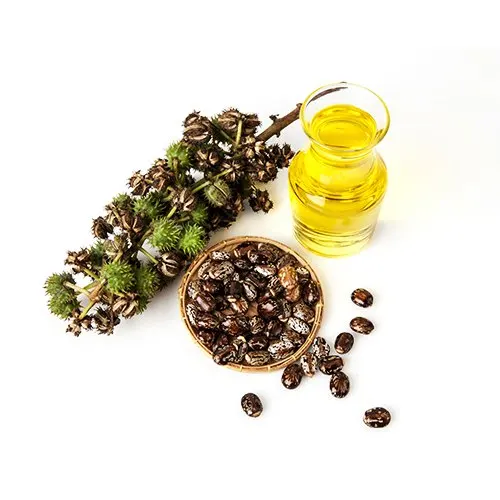 Pure Indian Ricinus Communis Oil Organic Cold Pressed Castor Carrier ...