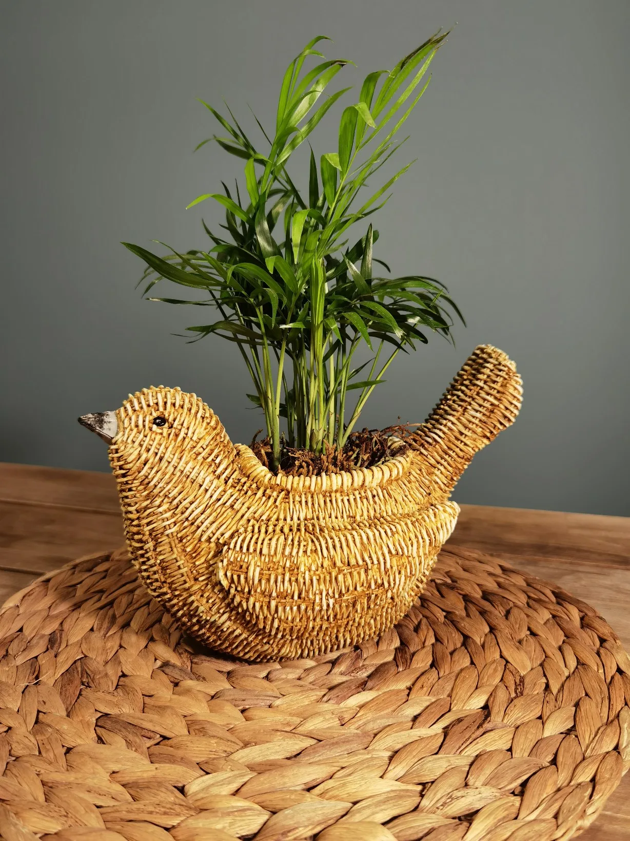 Wicker Rattan Planters In Charming Animal Shapes Elevate Your Garden ...