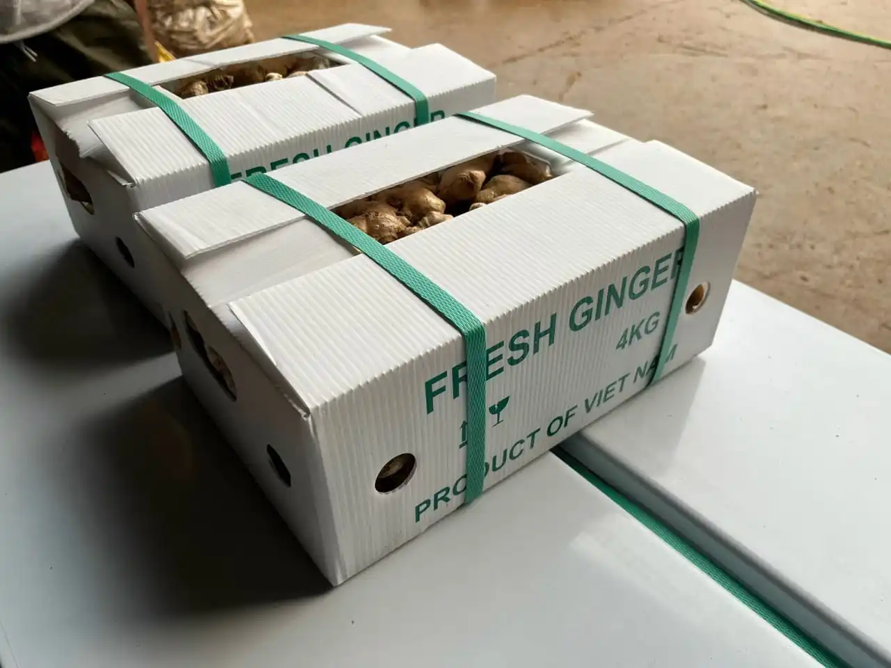 Fresh Ginger Varieties Mature Newest Crop Fresh Ginger Vietnam ...