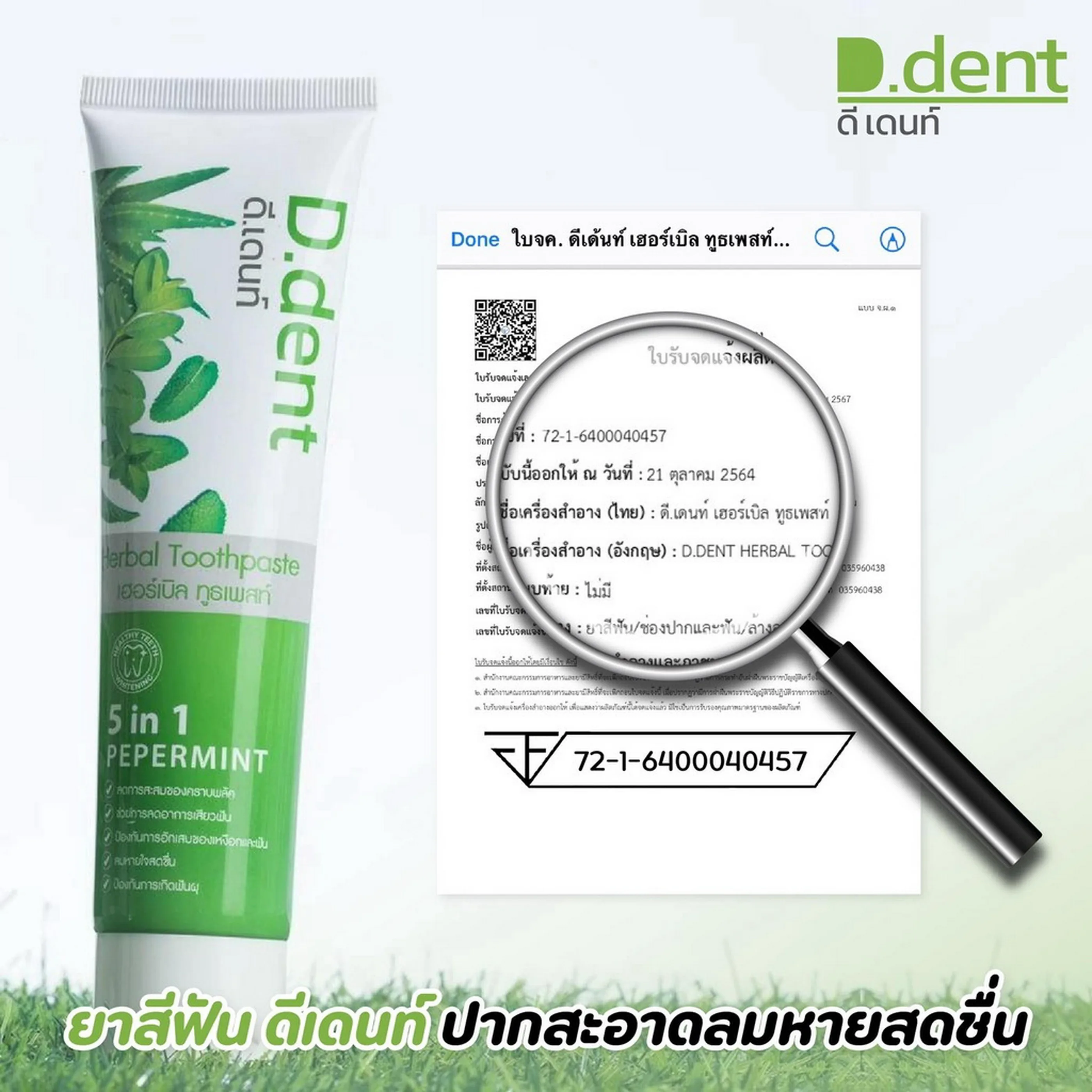 Thai Herbal Toothphaste Popular Hot Sell Activated Charcoal Teeth ...