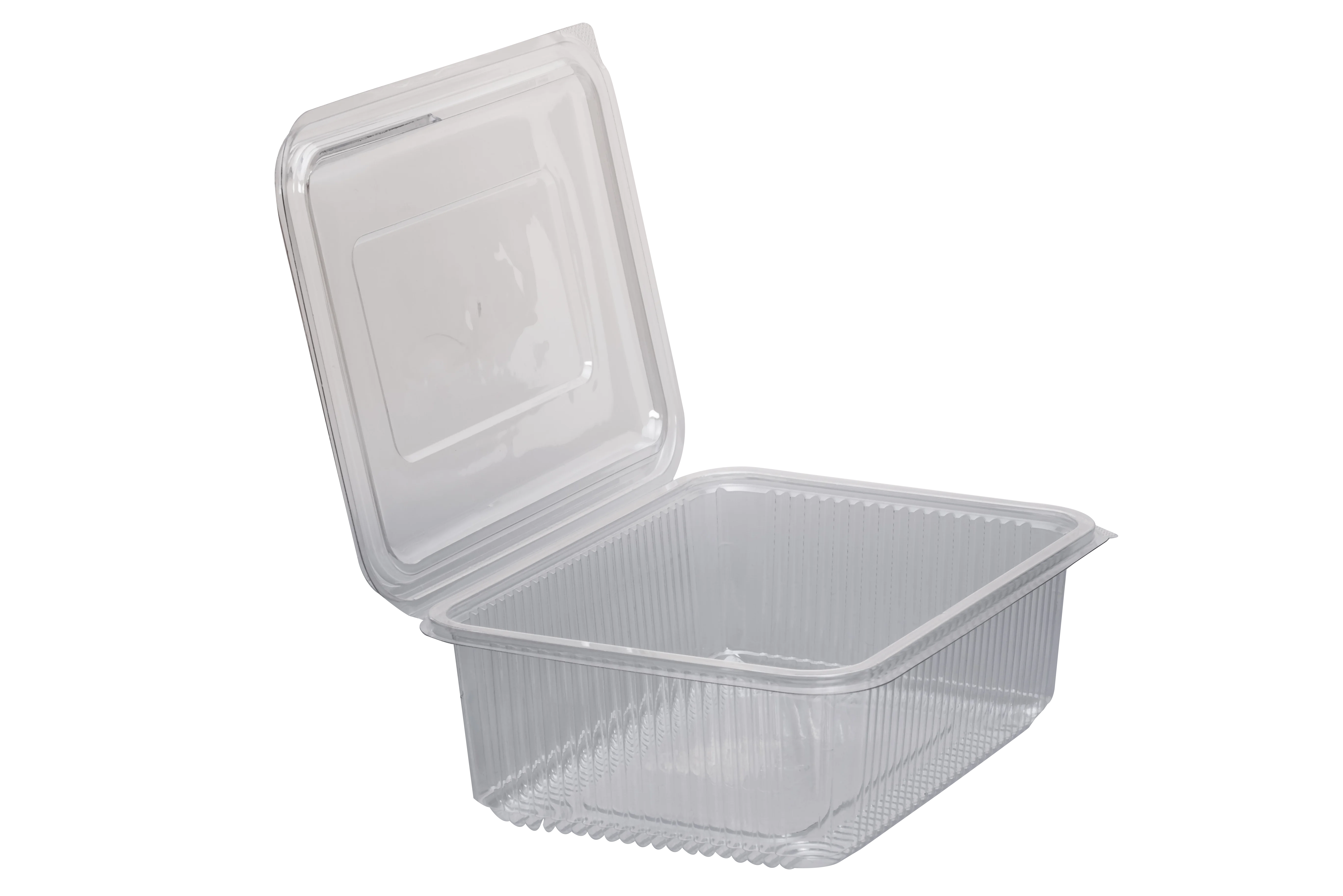 Best Offers Polypropylene Made Hinge Container (case) For Food Packing ...