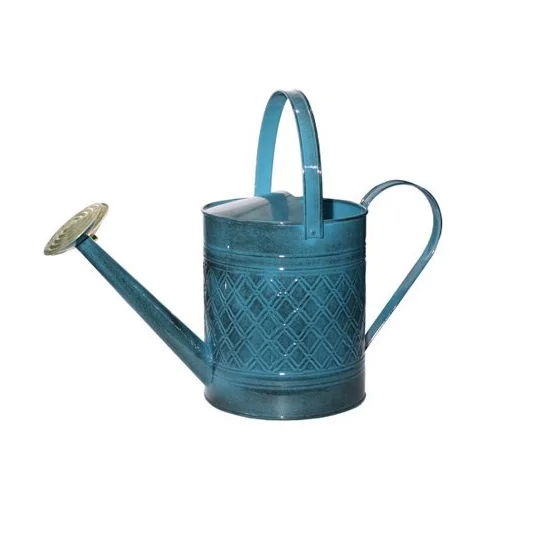 Modern Style Watering Canes Stainless Steel Watering Can For Indoor ...