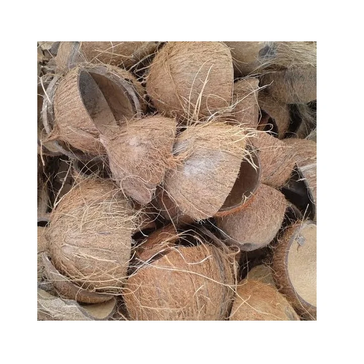 Natural Material Agricultural Waste Charcoal Coconut Shell Wholesale ...