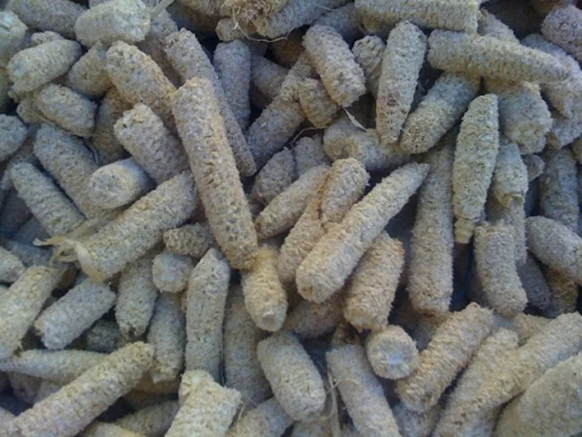 Cheap Dried Corn Cob Natural Fuel from Agricultural Waste