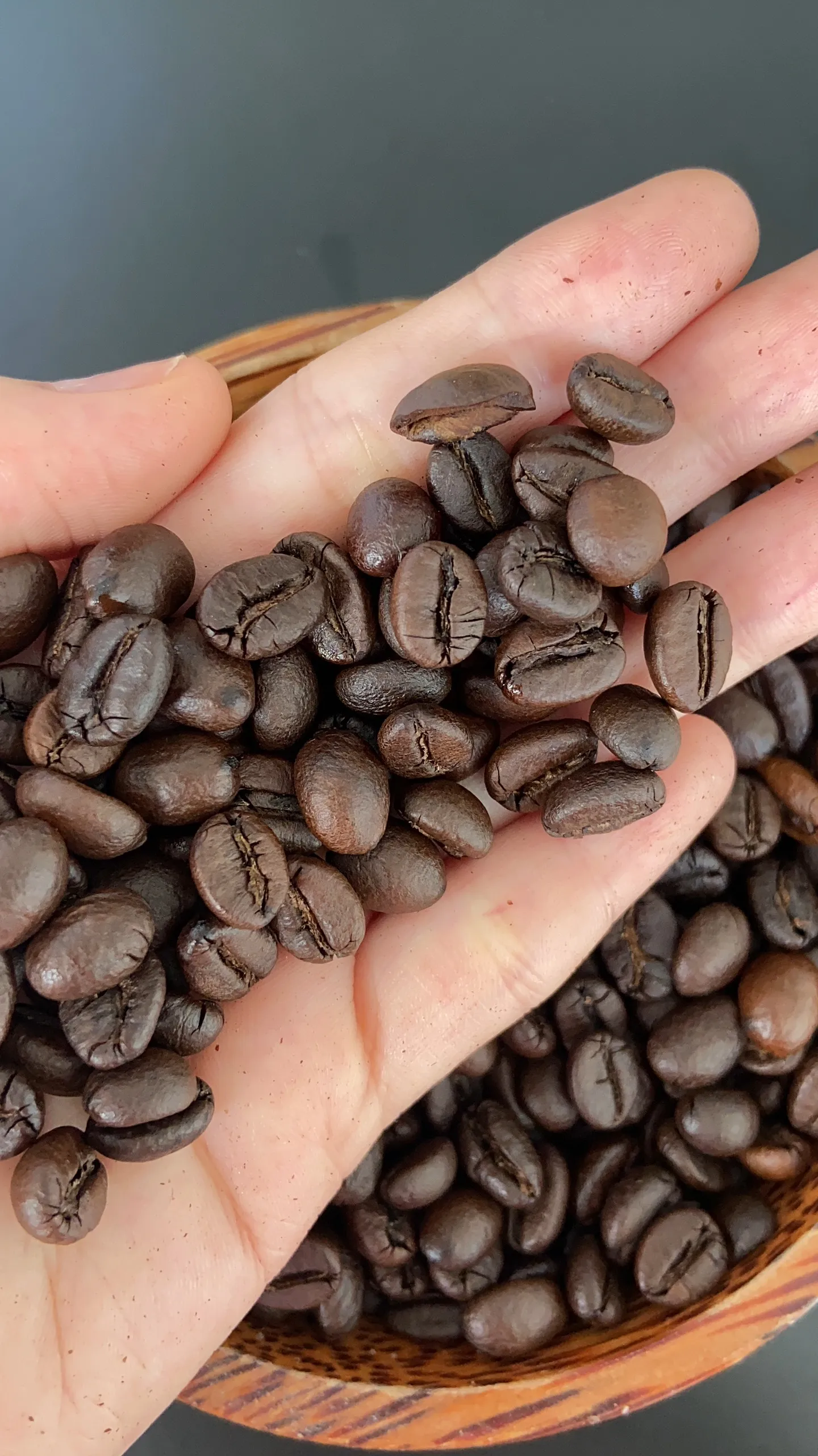 Italian Flavor Caffe Gran Gusto Espresso Roasted Coffee Beans 1 Kg - Ms ...