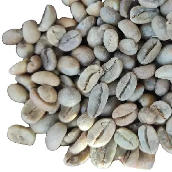 100% Best Quality Robusta From Thailand Coffee Beans Warehouse - Buy ...