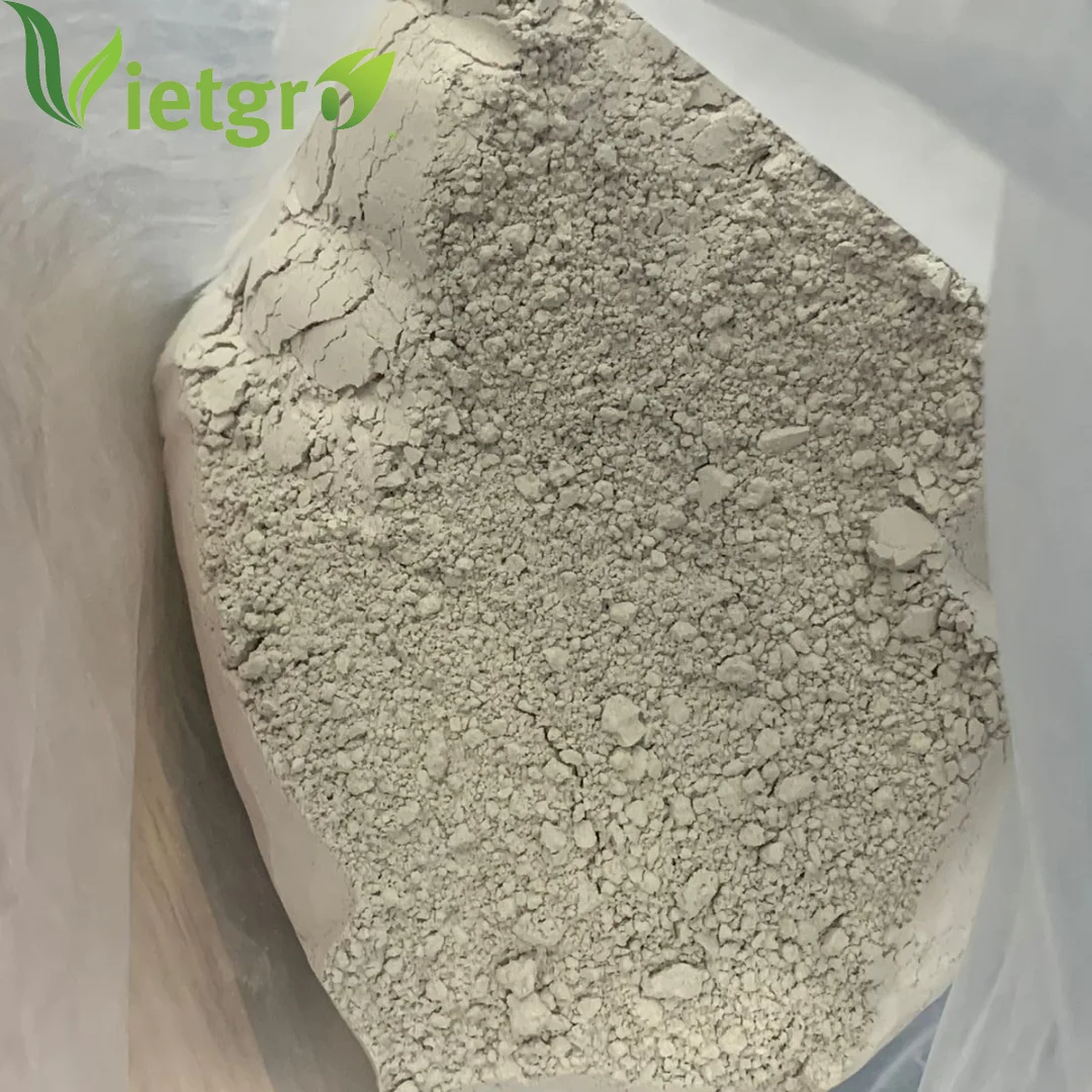 Wholesale High Quality Dolomite Powder - Vietnamese Supplier - Calcium ...