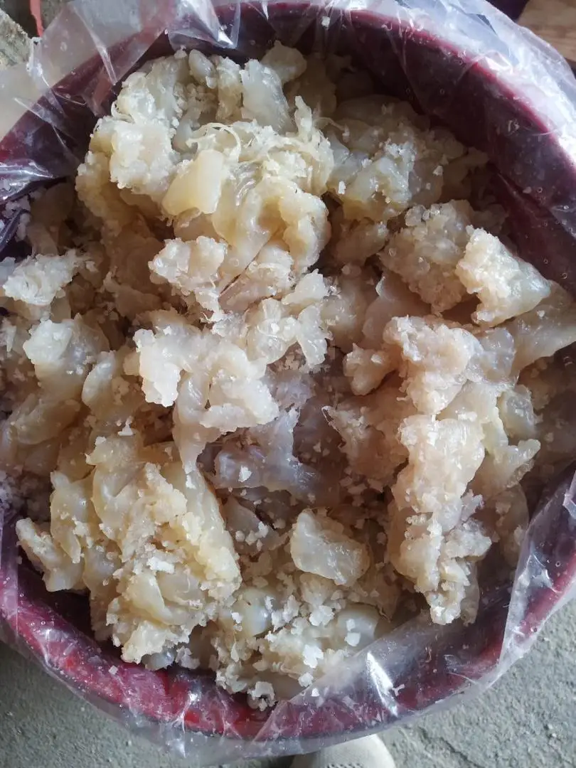 Wholesale Salted Jellyfish - Dried & Shredded from Vietnam