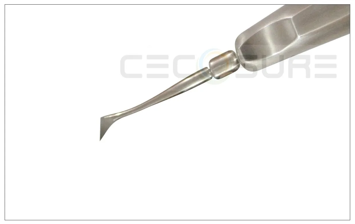 Stainless Steel Dental Tooth Extracting Cryer Root Elevators Dental ...