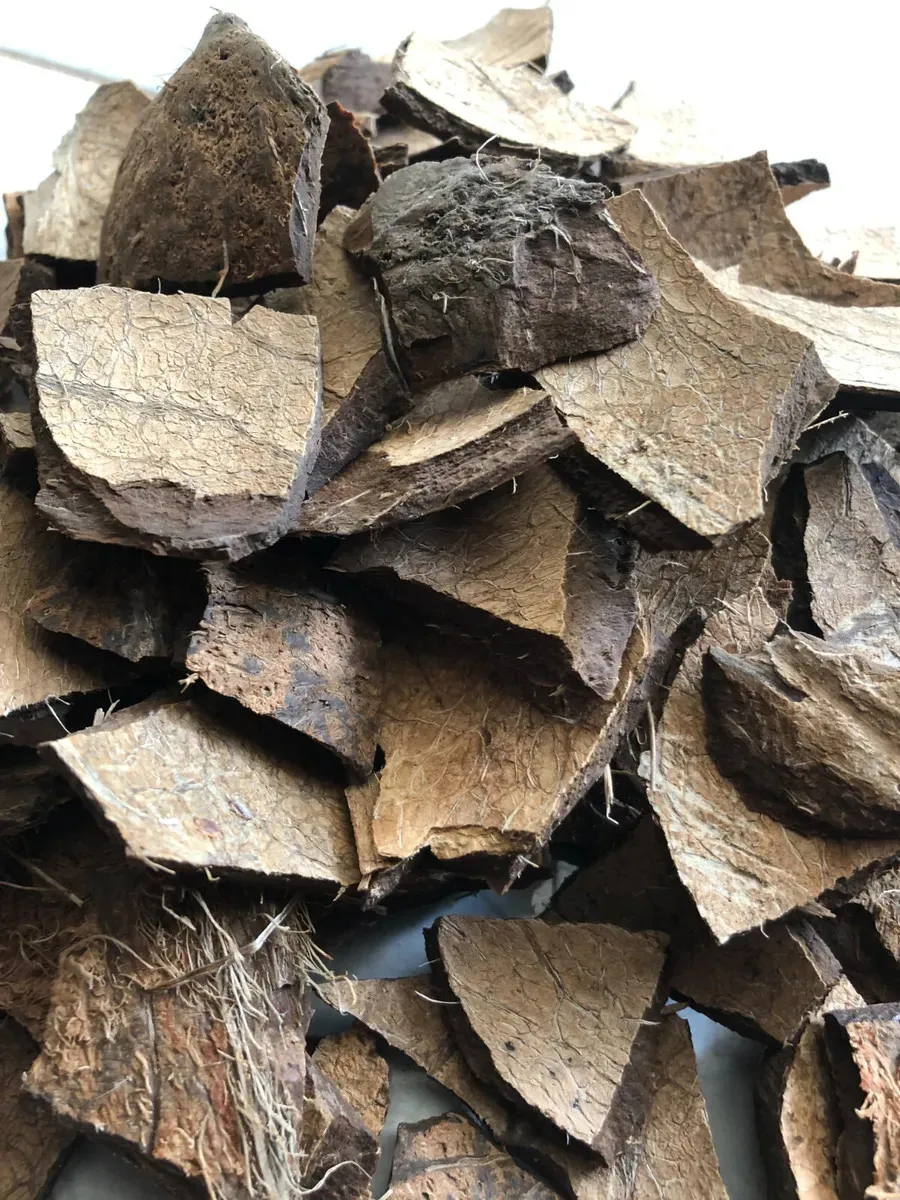 Raw Coconut Shell Chip Broken, Crushed Coconut Shell Making BBQ ...